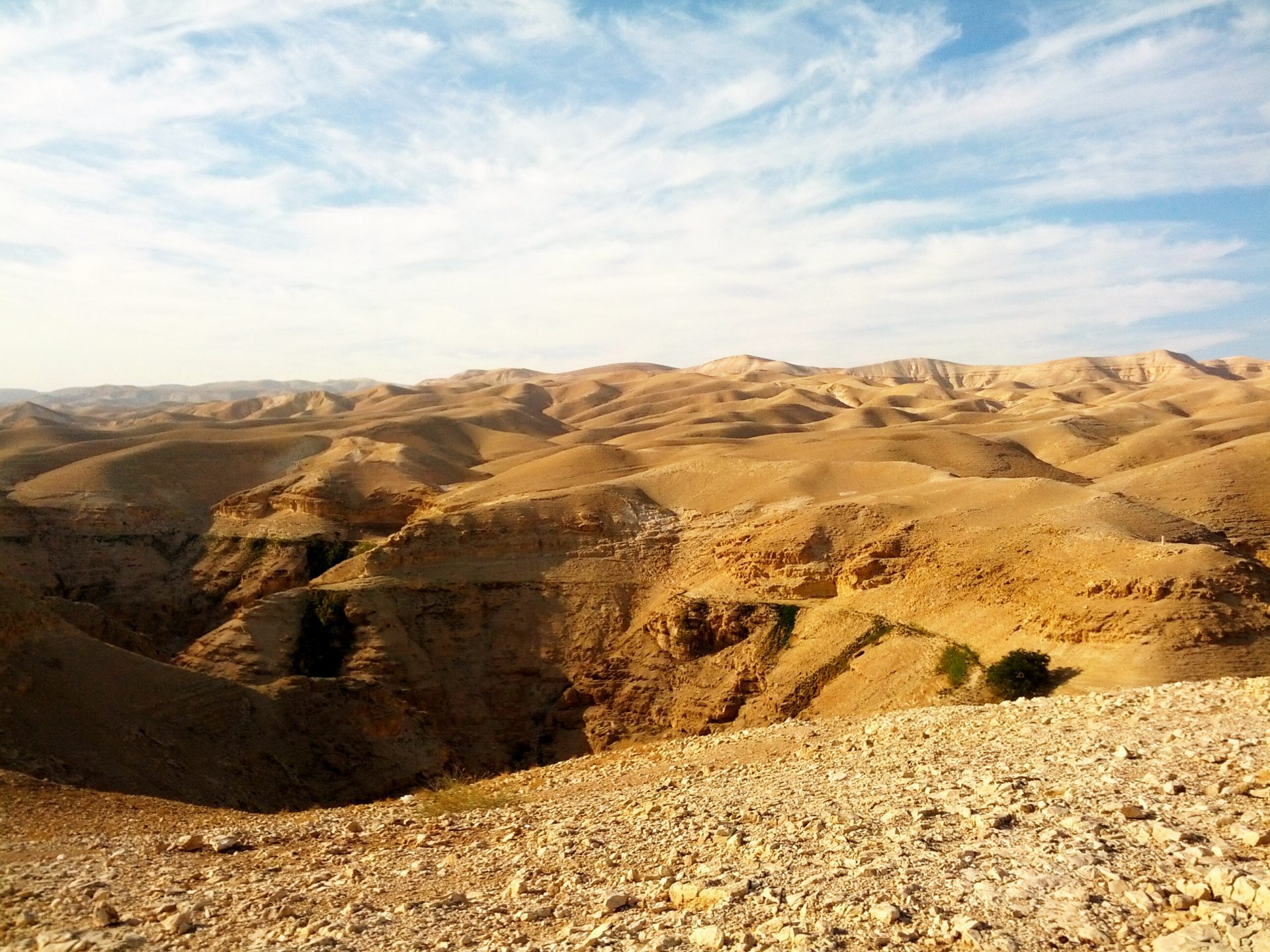 Lent: Into the wilderness